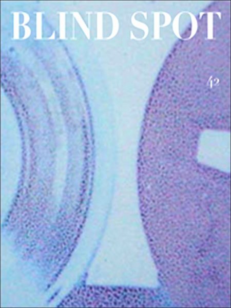BLIND SPOT｜定期購読 - 雑誌のFujisan